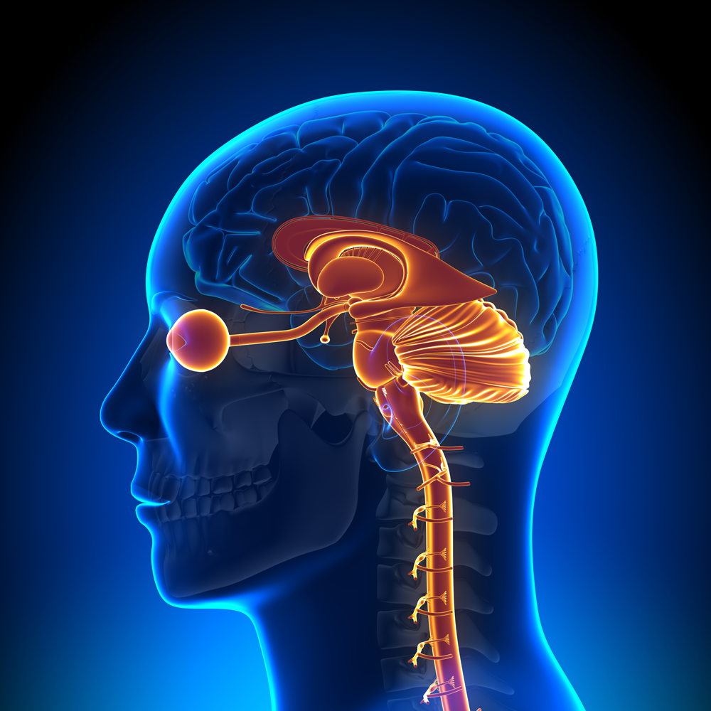 Introduction to Smart Brain Training | by John DenBoer | Medium