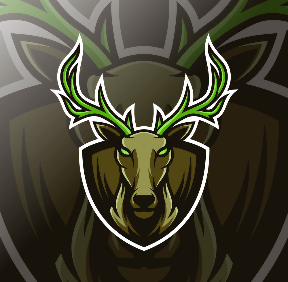 Empowering Creators with DxBuck: The Ultimate Platform for Launching ...