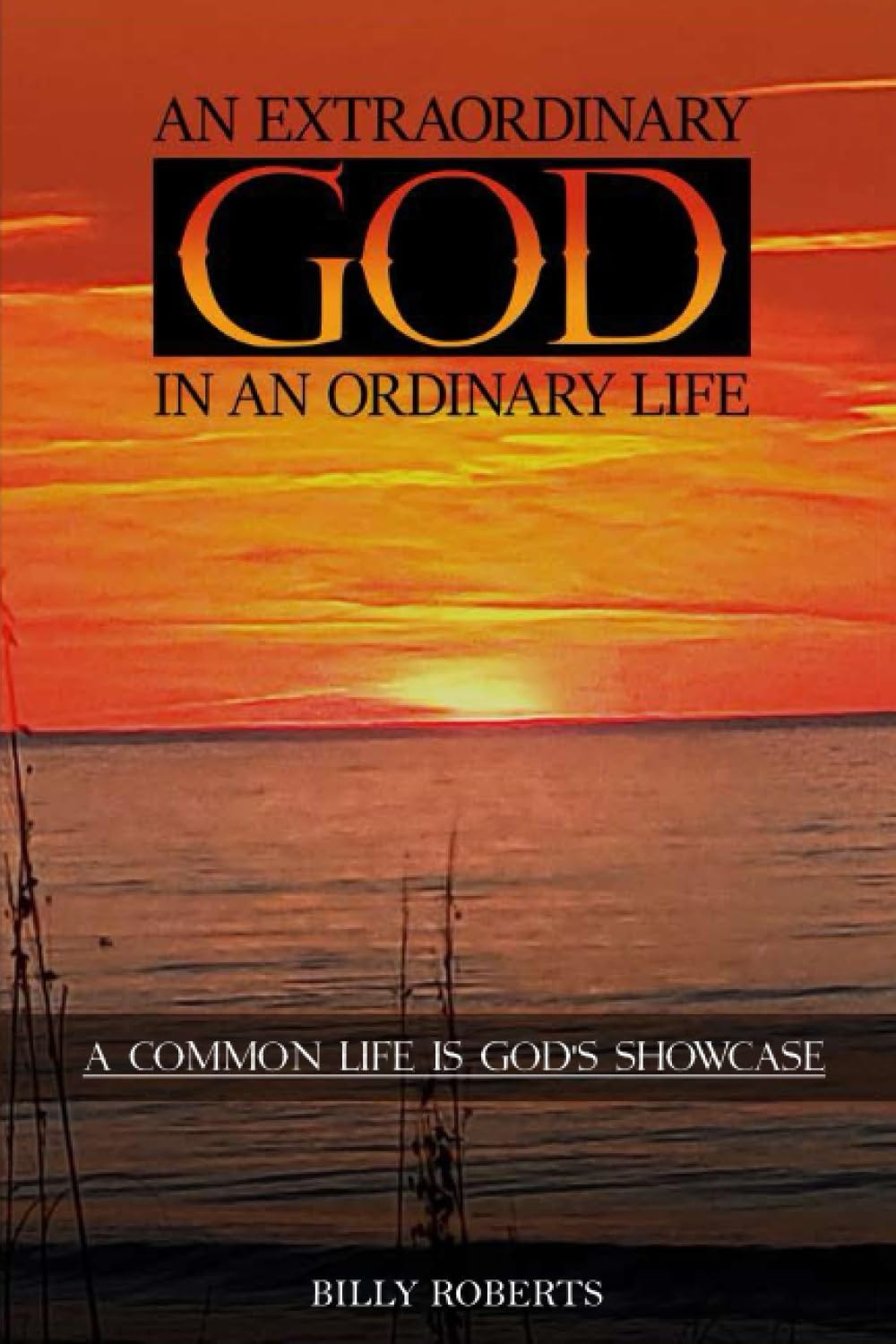 An Extraordinary God In an Ordinary Life | by Alexander Sebastian | Medium