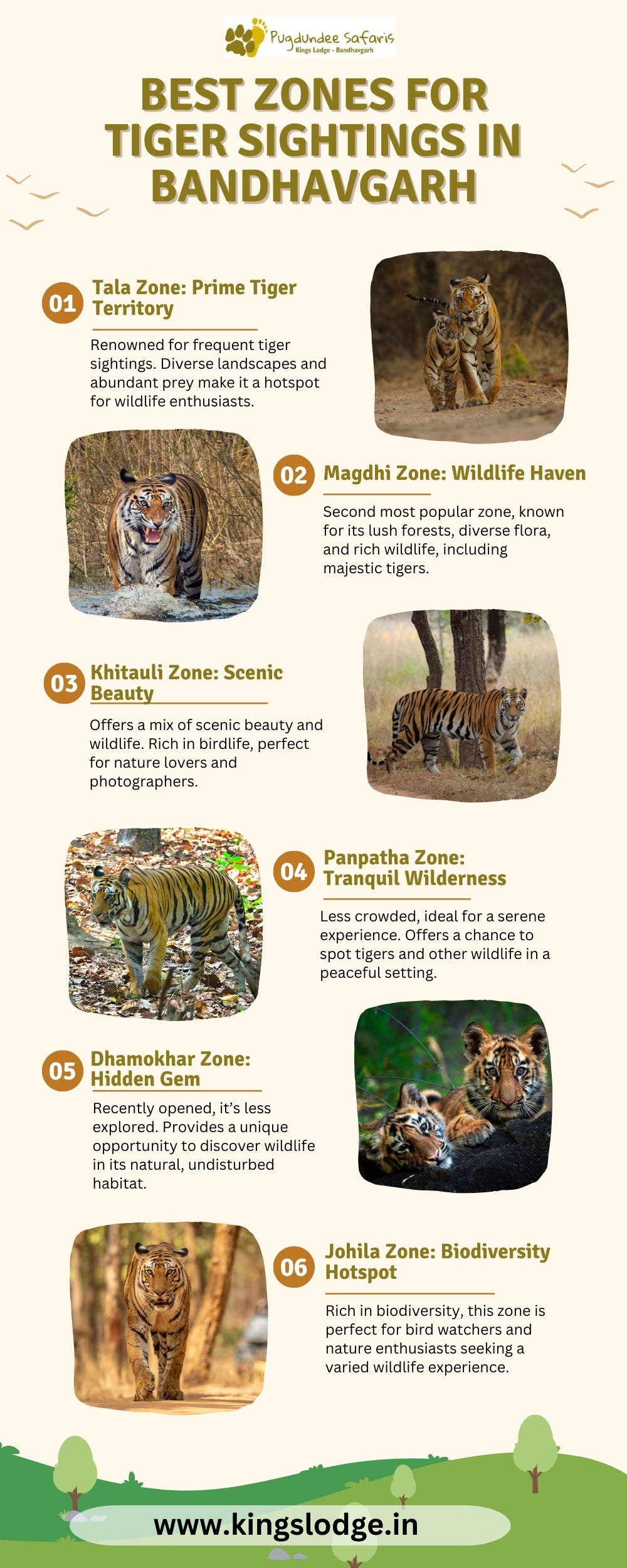Best Zones for Tiger Sightings in Bandhavgarh - Kings Lodge - Medium