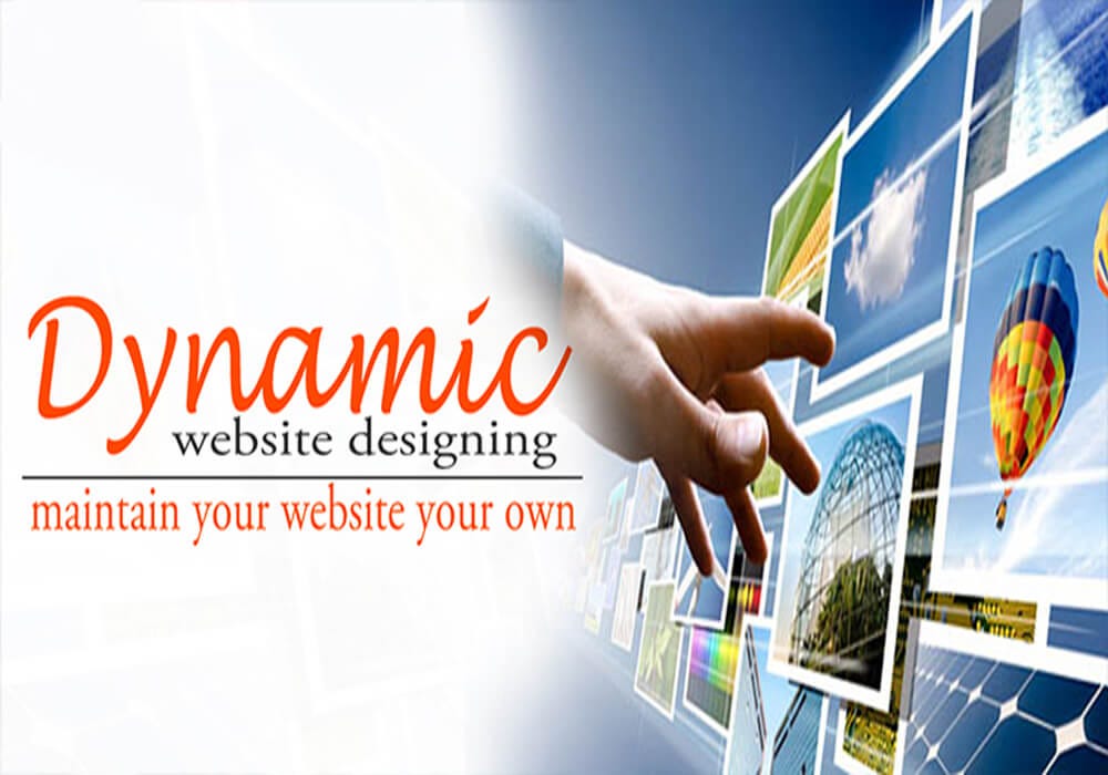 Dynamic Website Designing. Pinacle Web India provides Dynamic… | by ...