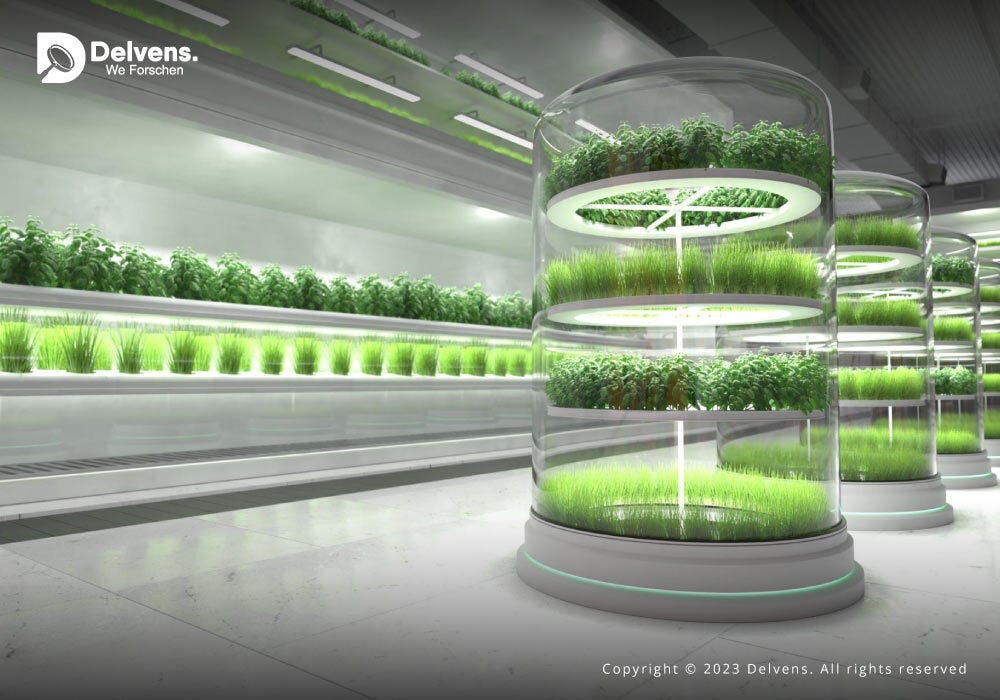 Plant Factory Market Overview & Outlook for 2028 | by Delvens | Medium