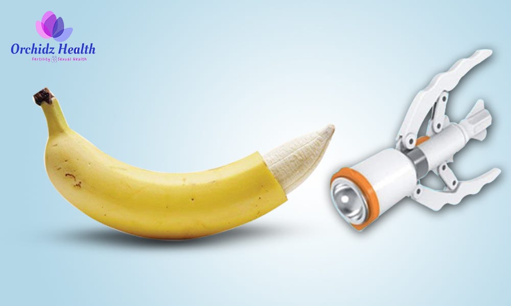Understanding Circumcision and Its Significance | by Orchidz Health ...