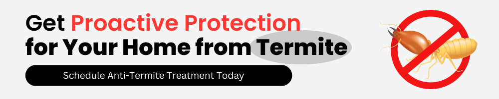 10 Ways to protect the home from termite | by CareMS India | Jun, 2024 ...
