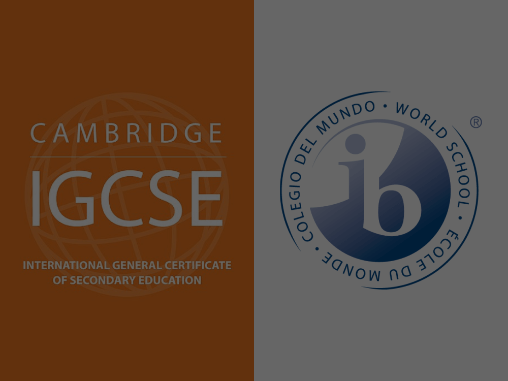 Navigating Variances Between IGCSE and IB Boards - The Shri Ram Academy ...