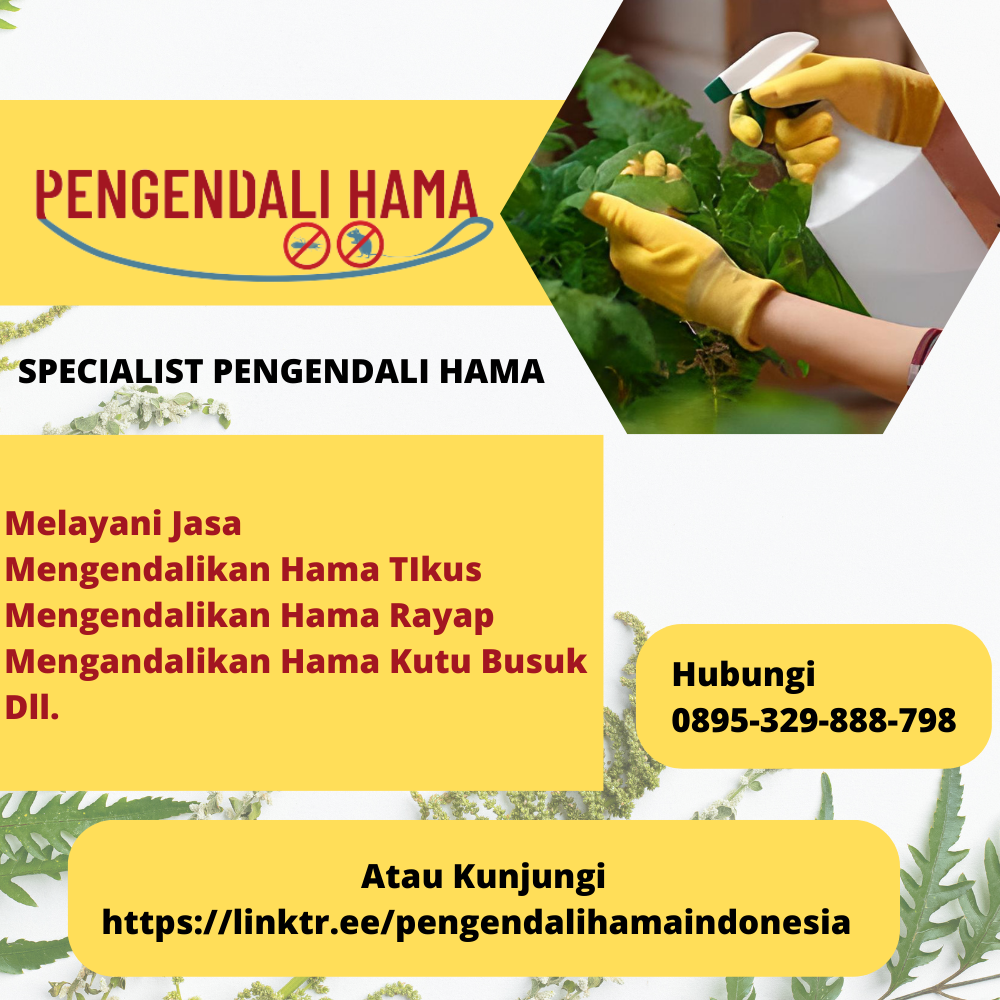 Specialist Pengendali Hama - Jasapengendalihama - Medium