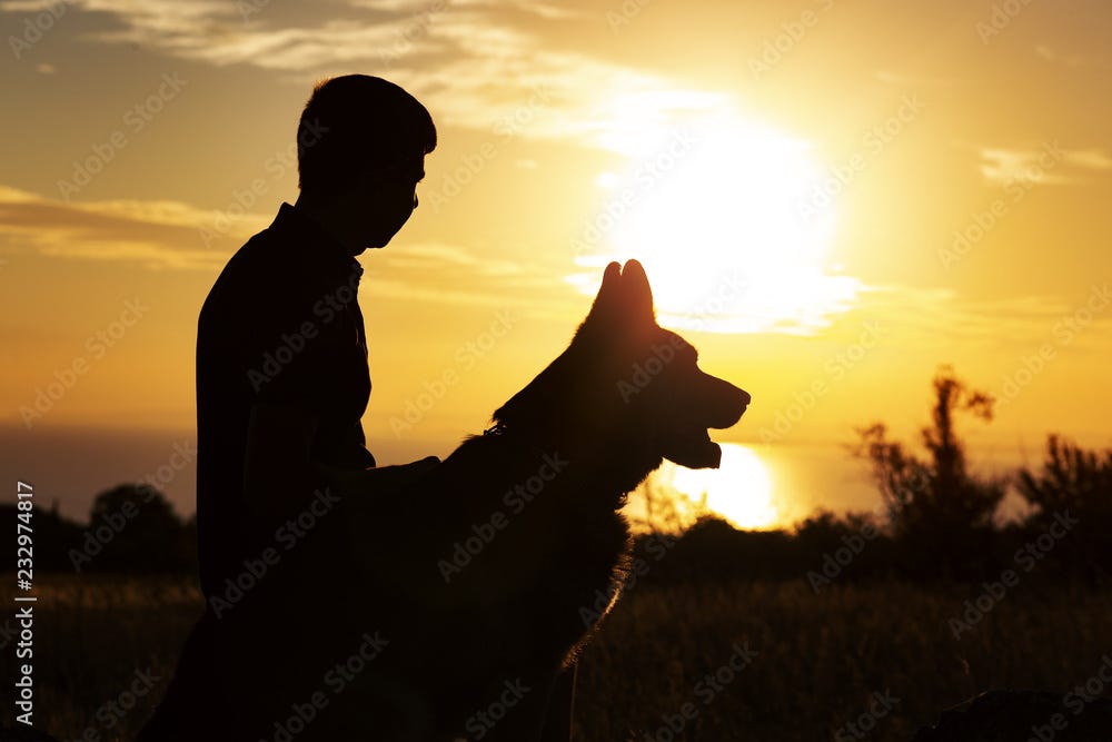 “Unbreakable Bonds: The Profound Connection Between Humans and Dogs ...