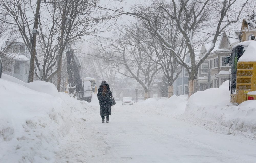 Snow Day Muse. In Waterloo, Canada, where the weather… | by Elaine Xiao ...