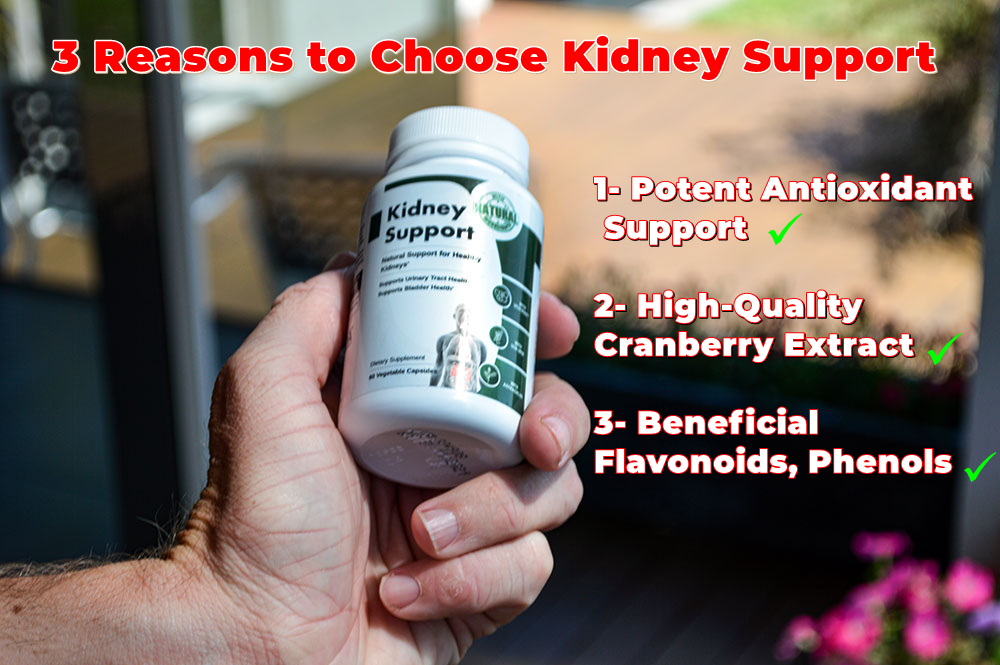 Kidney Support | Nourishing Support for Healthy Kidneys | by DOUIS ALI ...
