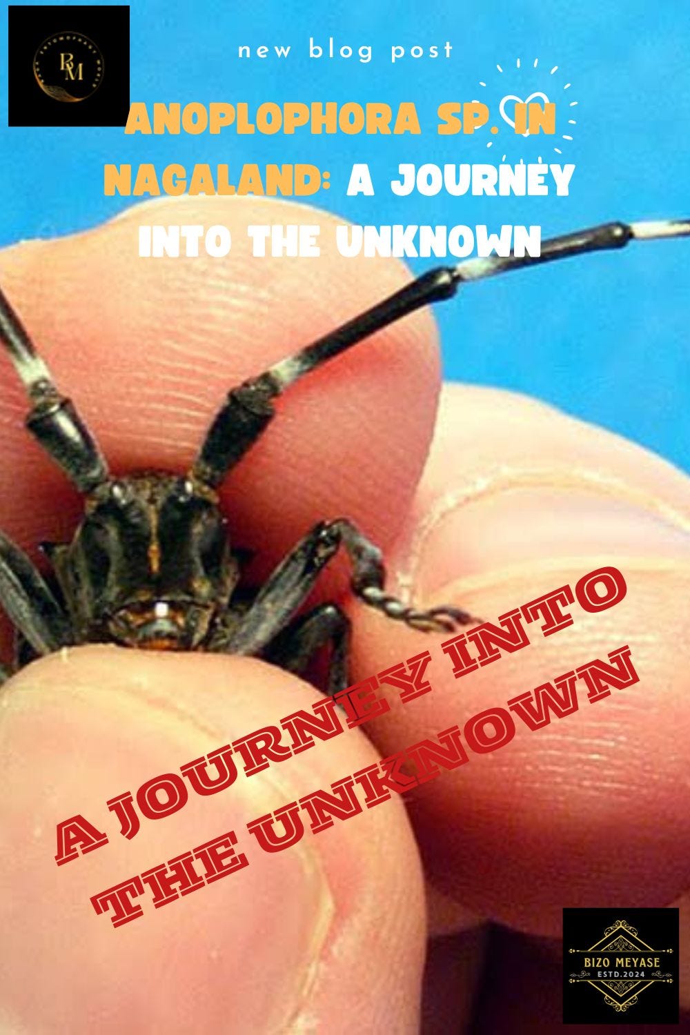 Edible insects: Anoplophora sp. in Nagaland: A Journey into the Unknown ...