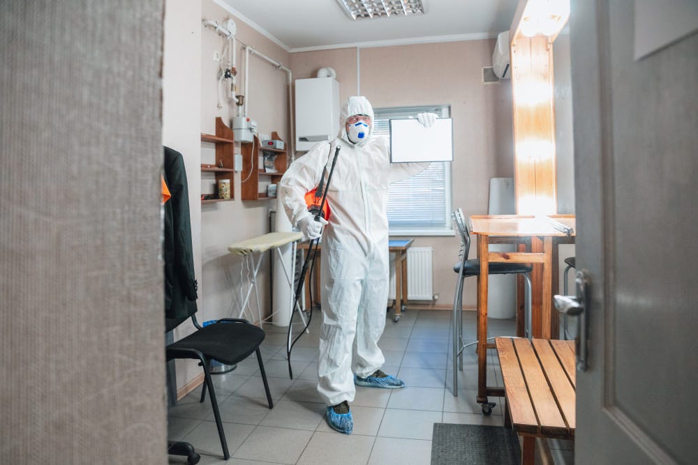 Termites, Tremble: Eco Space Pest Unveils the Ultimate Termite ...