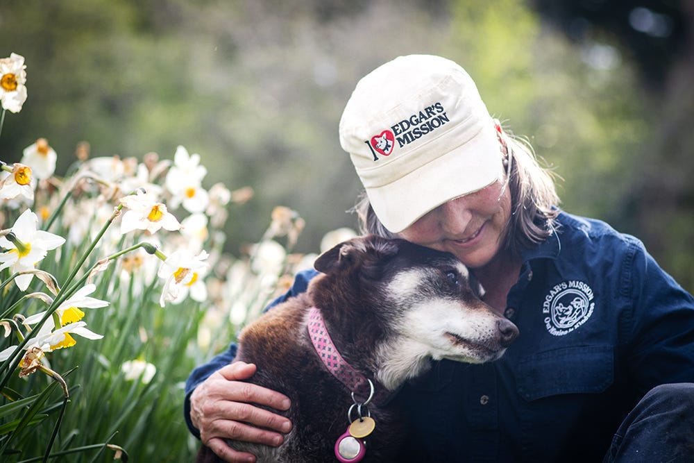 A call to extend compassion to all animals on World Animal Day. | by ...
