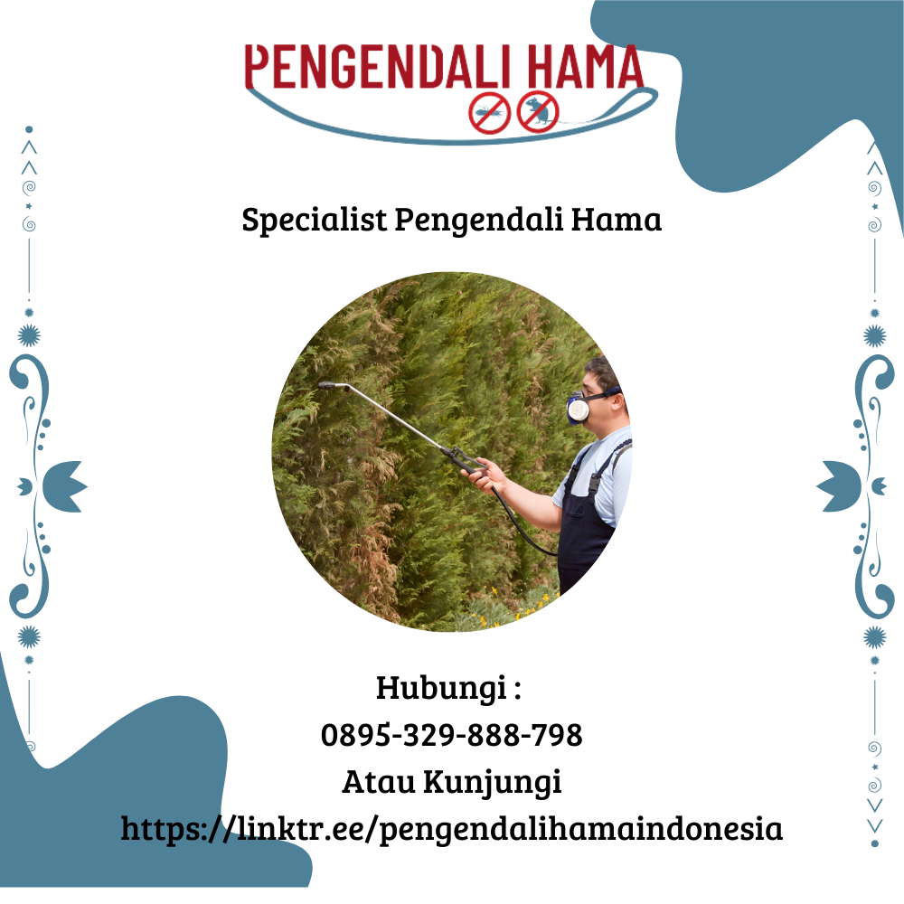 Specialist Pengendali Hama - Jasapengendalihama - Medium