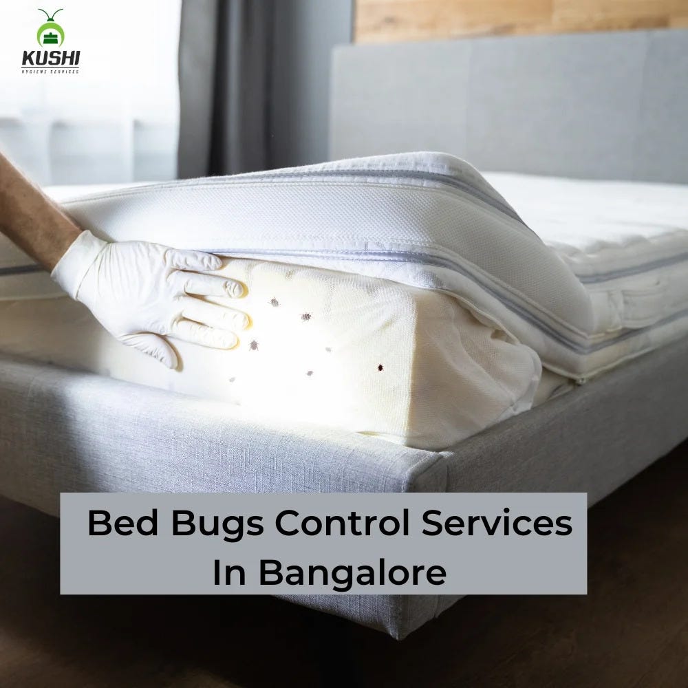 Top 10 tips for bed bugs pest control in your home | by ...