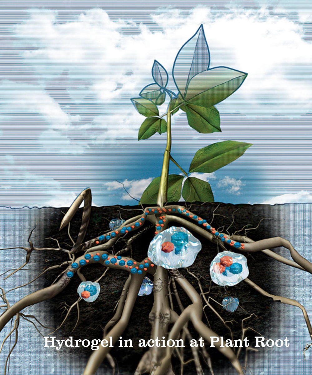 Hydrogel — Super Absorbent Polymer for Dry & Semi Arid regions | by ...