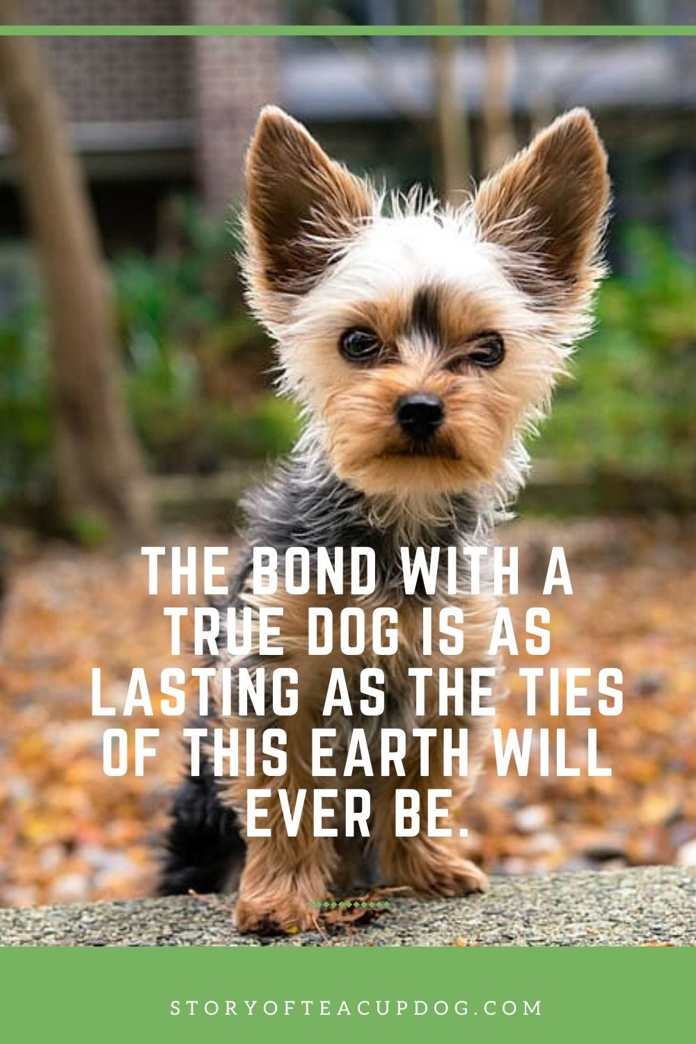 The bond with a true dog is as lasting as the ties of this earth will ...