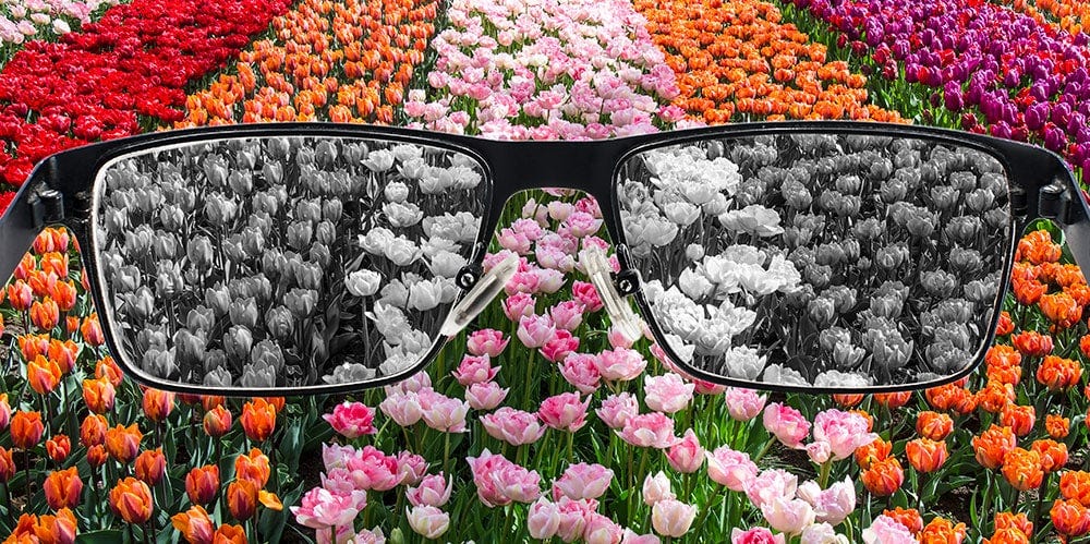 A Designer’s Guide for the Color Blind | by Inchara Prasad | Kubo | Medium
