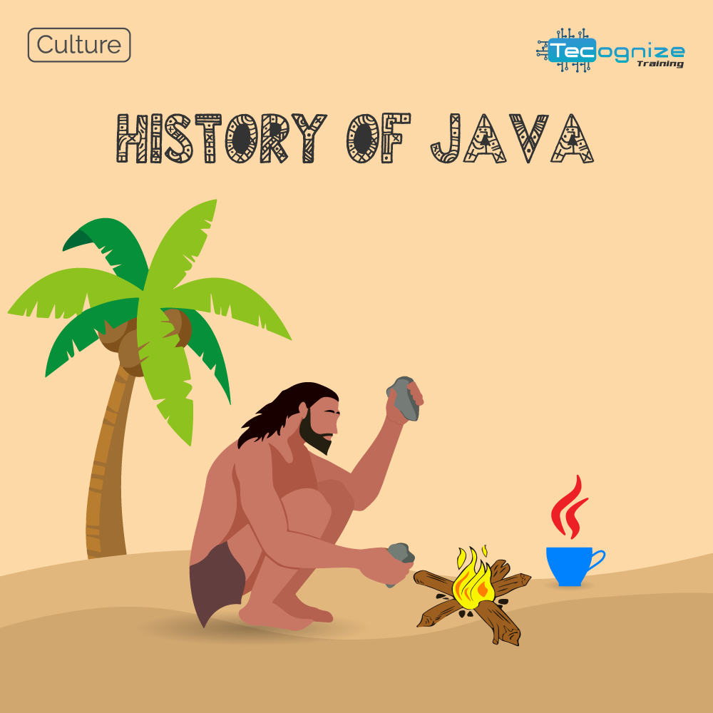 History Of JAVA. এখন পর্যন্ত অনেক গুলো প্রোগ্রামিং… | by Tecognize Training | Medium