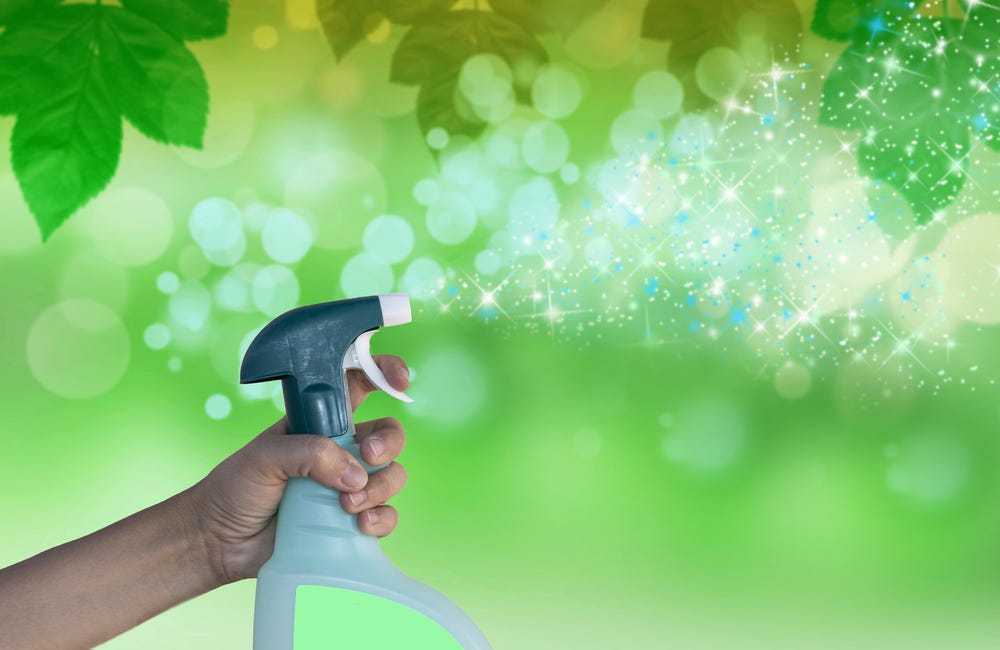 Is it Possible to Clean Your Home Exclusively with Eco-Friendly, Green ...