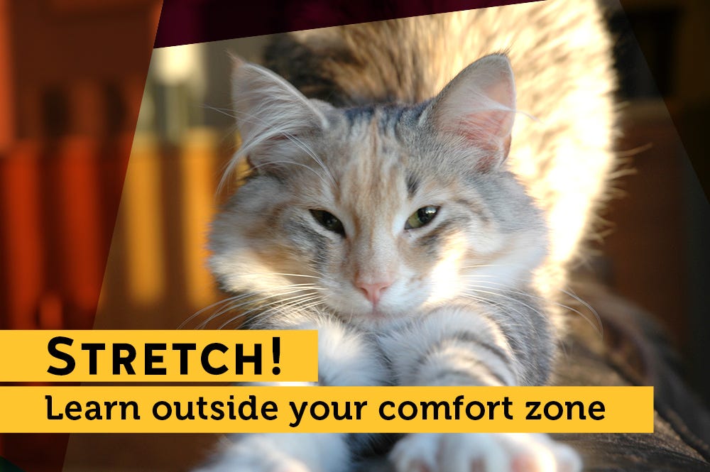 Learn outside your comfort zone. When was the last time you learned ...