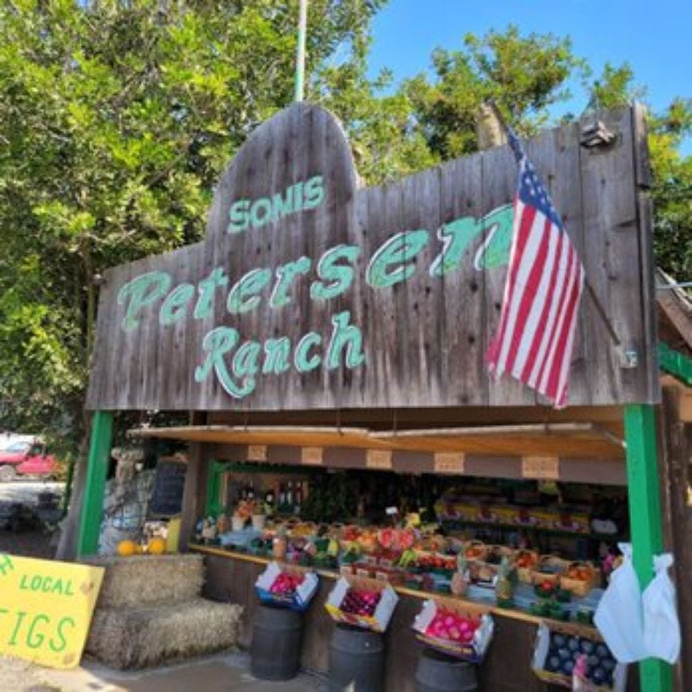 Taste of the Land: Discover Fresh Local Produce at Petersen Ranch Fruit ...