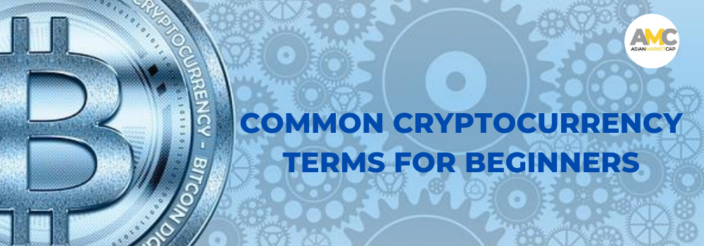 Common Cryptocurrency Terms for Beginners | by AsianMarketCap Official | The Dark Side | Medium