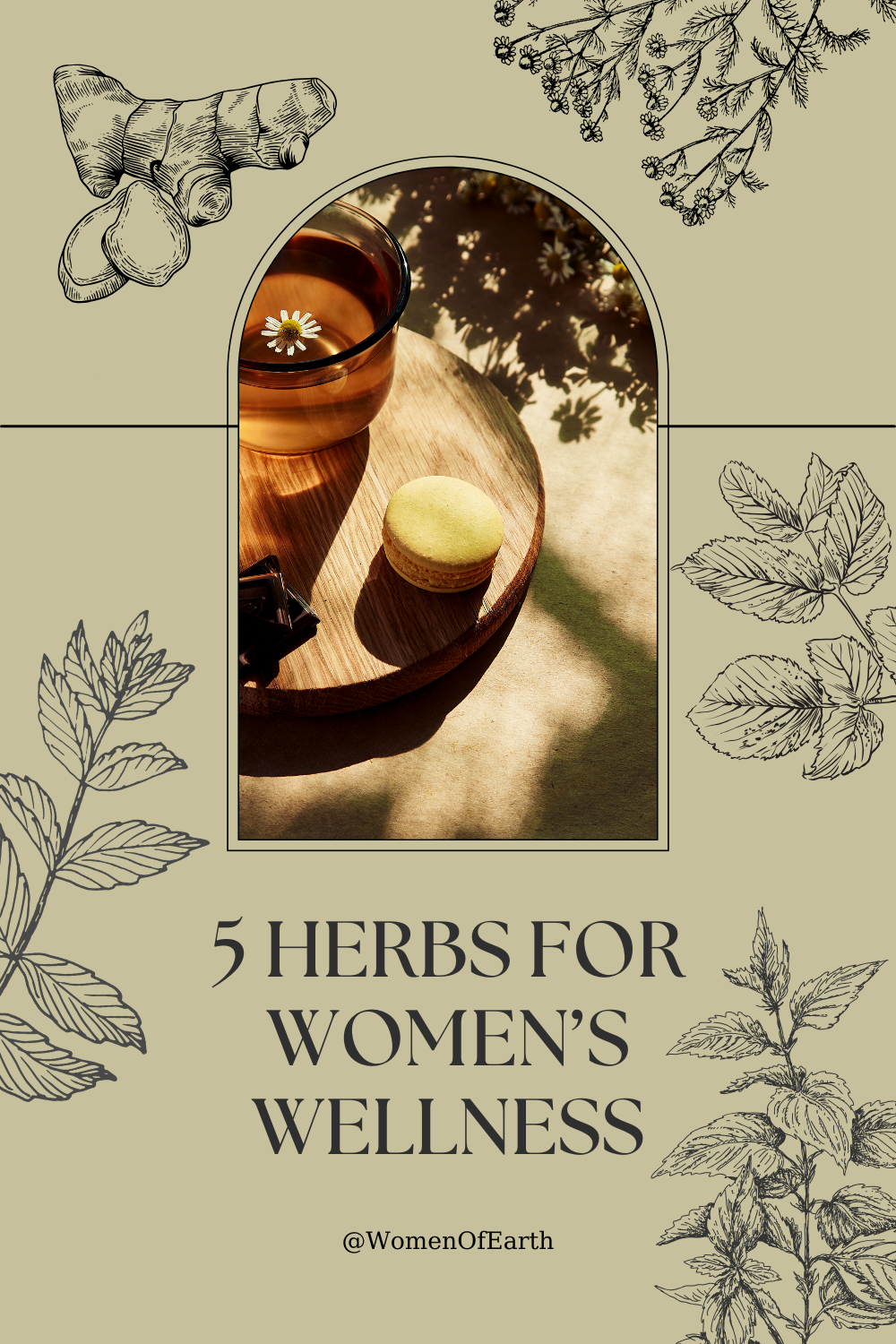 5 Herbal Allies for Women’s Wellness | by Johanna Thamas | Medium