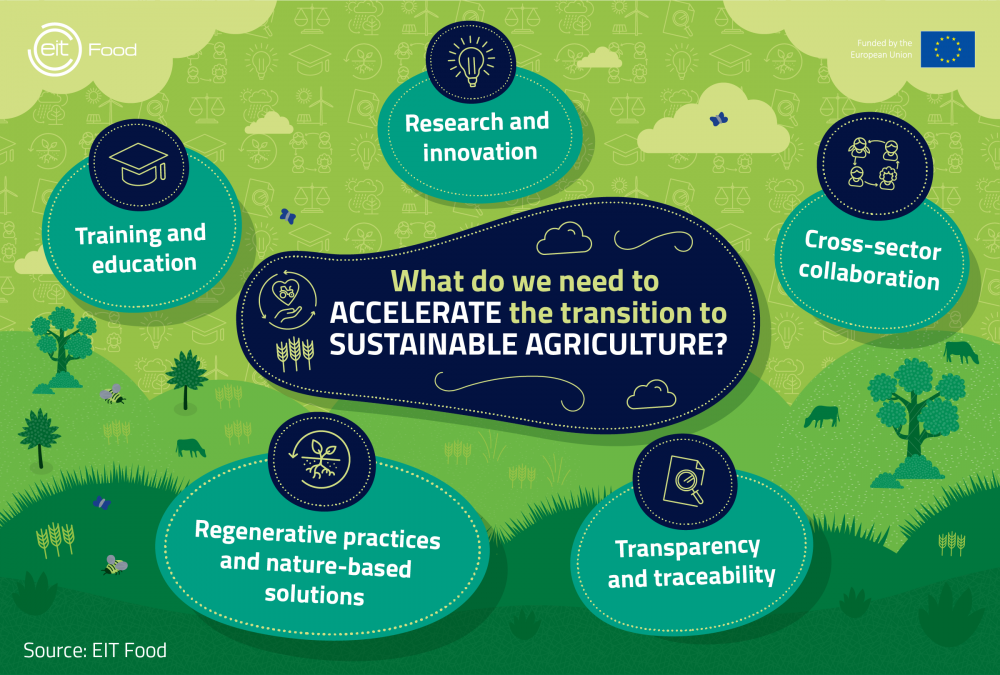 Cultivating Tomorrow: The Green Revolution of Sustainable Farming ...