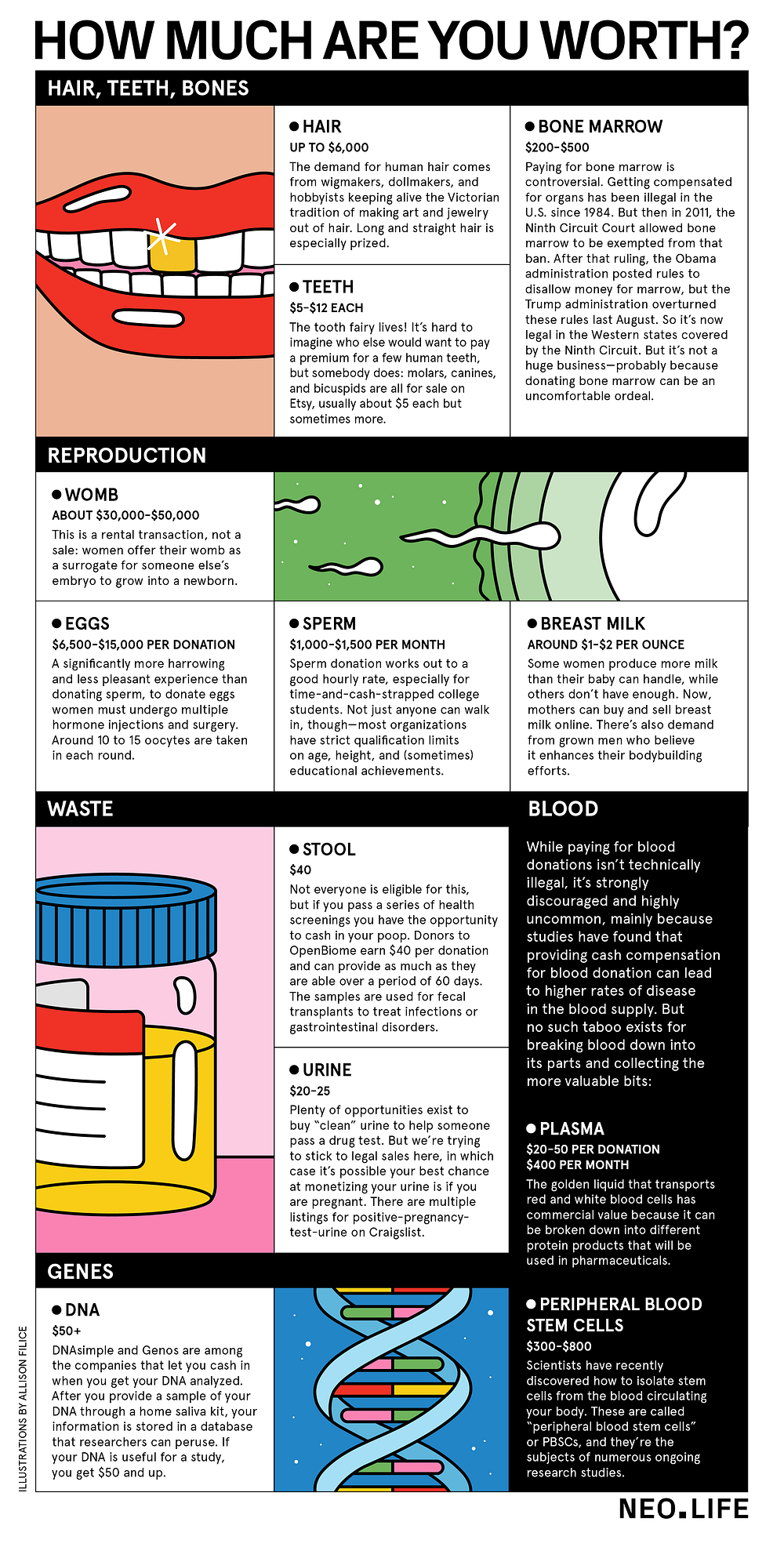 How Much Are Your Body Parts Worth? | by Mallory Pickett | proto.life ...