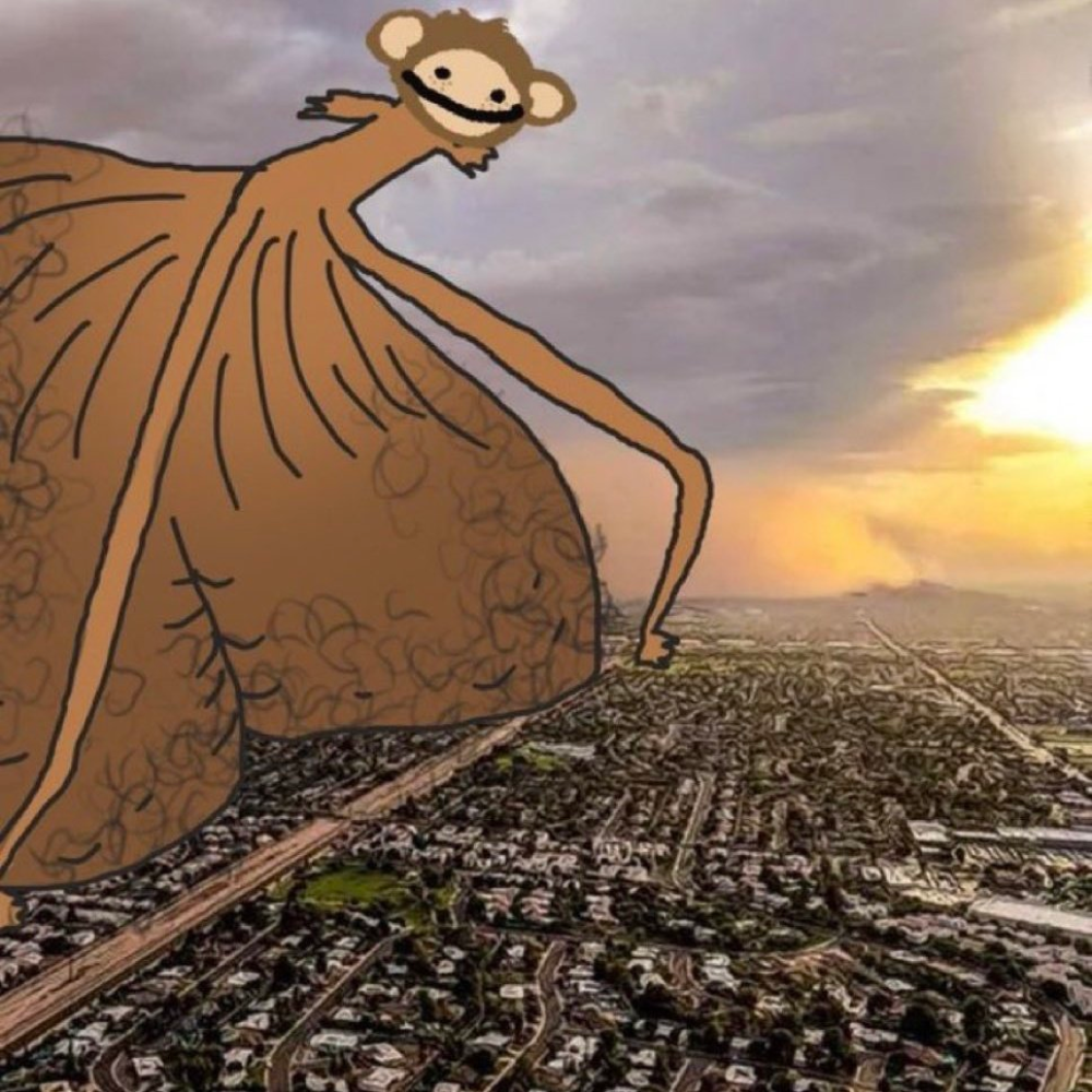 From Meme to Movement: The BALLSACK Awakening | by Slugorand.algo | Jul ...
