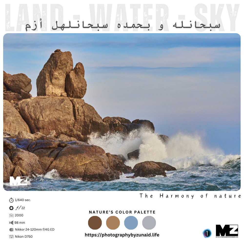 Nature Color Palette #18 - Mohamed Zunaid - Medium