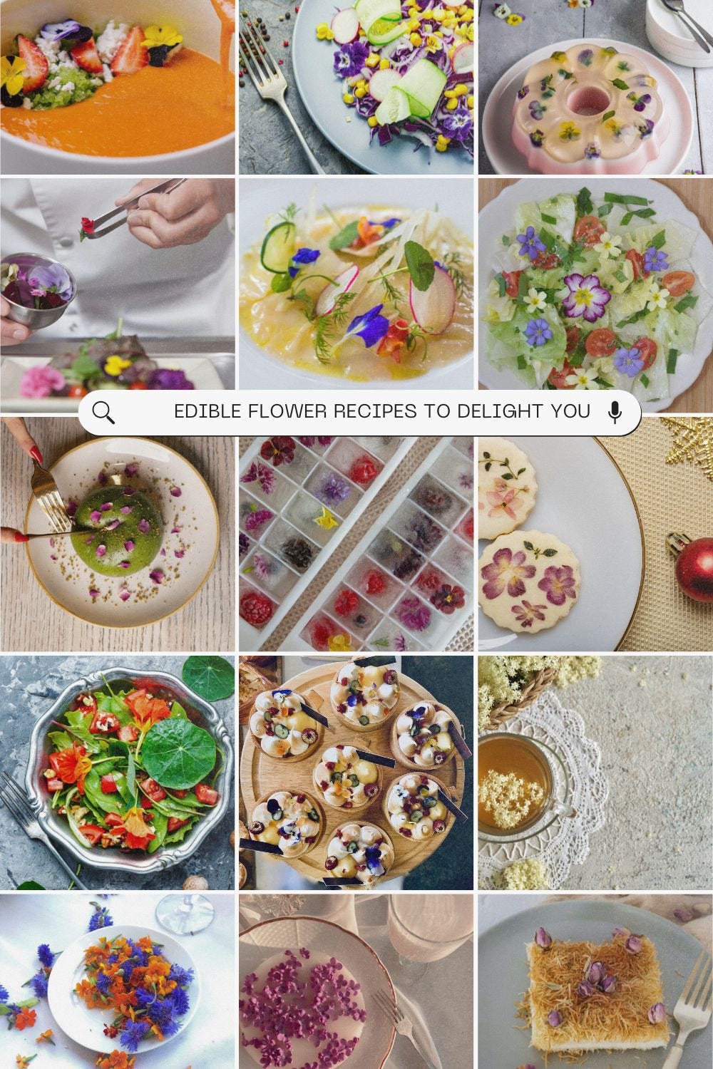 Edible Flower Recipes: A Blossoming Culinary Adventure | by saad ahmad ...