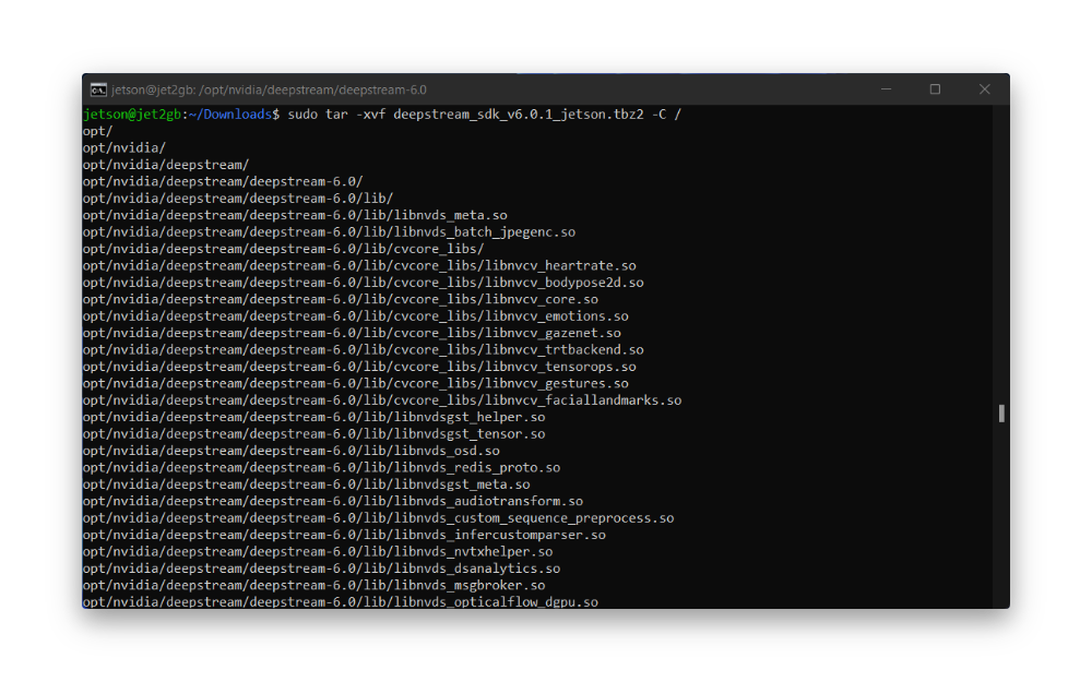 DeepStream + Python Bindings on Jetson. | jetson-docs