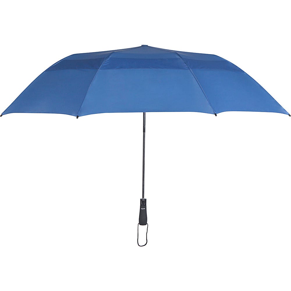 The Blue Umbrella. I wondered what the weather would be… | by Abbie ...