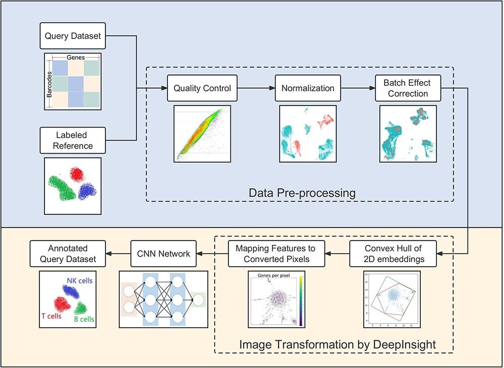 Explanation Of Scdeepinsight A Supervised Cell Type Identification