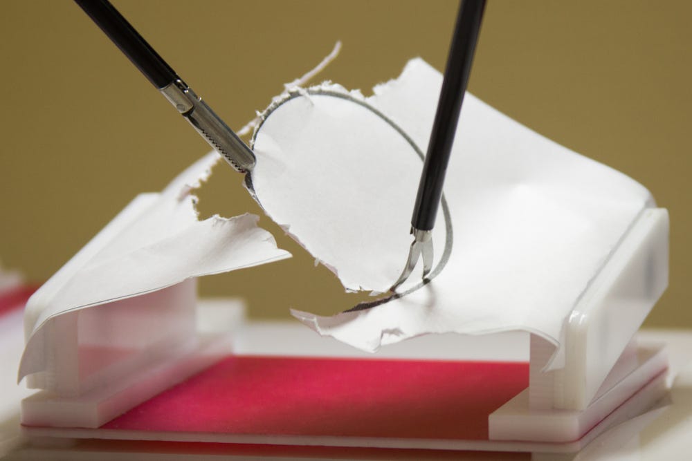 A Comprehensive Guide to Basic Laparoscopic Training Courses for ...