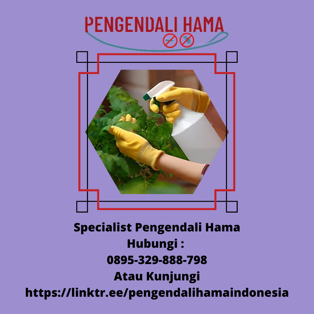 Specialist Pengendali Hama - Jasapengendalihama - Medium