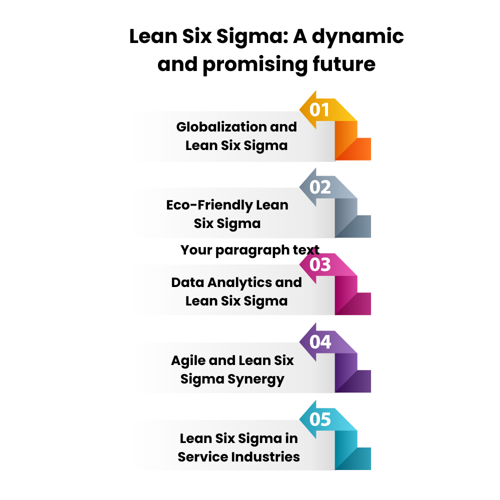 Navigating Tomorrow: The Future of Lean Six Sigma Black Belt | by Ashi ...