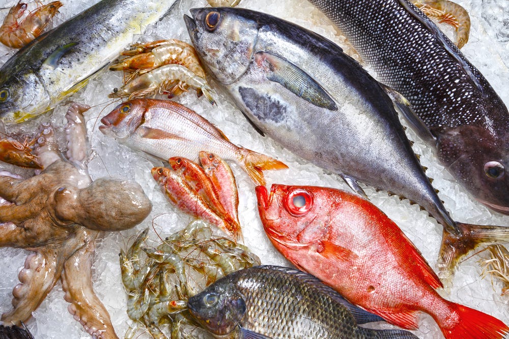 Why Frozen Fish May Be Better Than Fresh | by OceanFood Sales | Medium