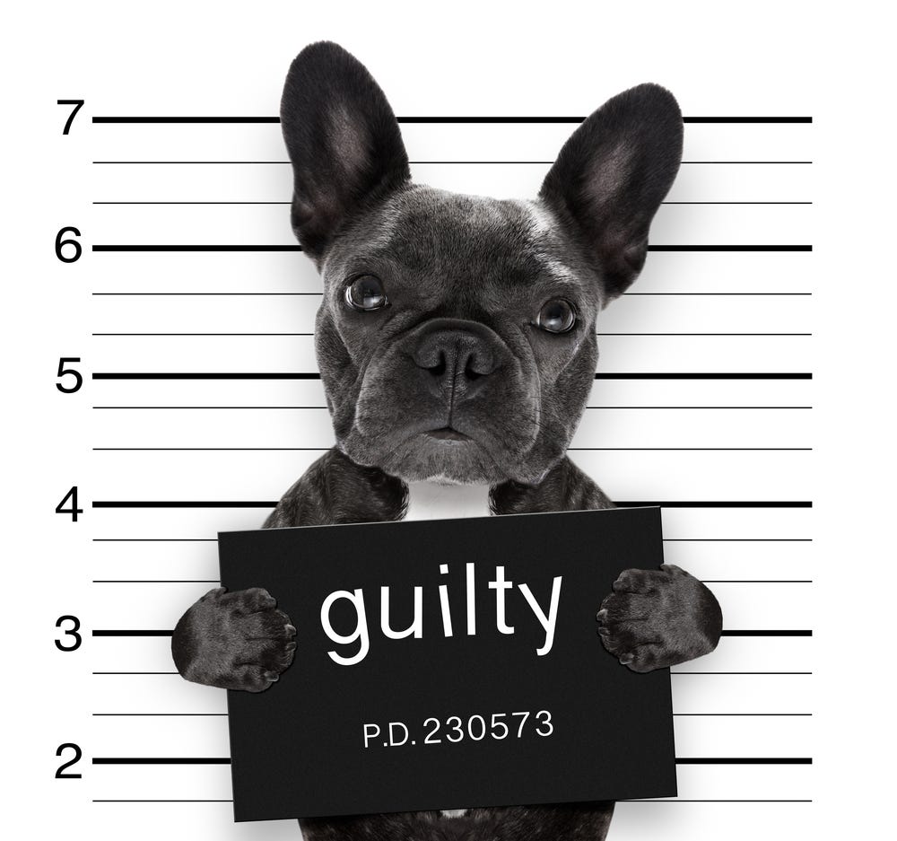 Are You Guilty of Too Much Guilt? | by Kim Korte | Medium