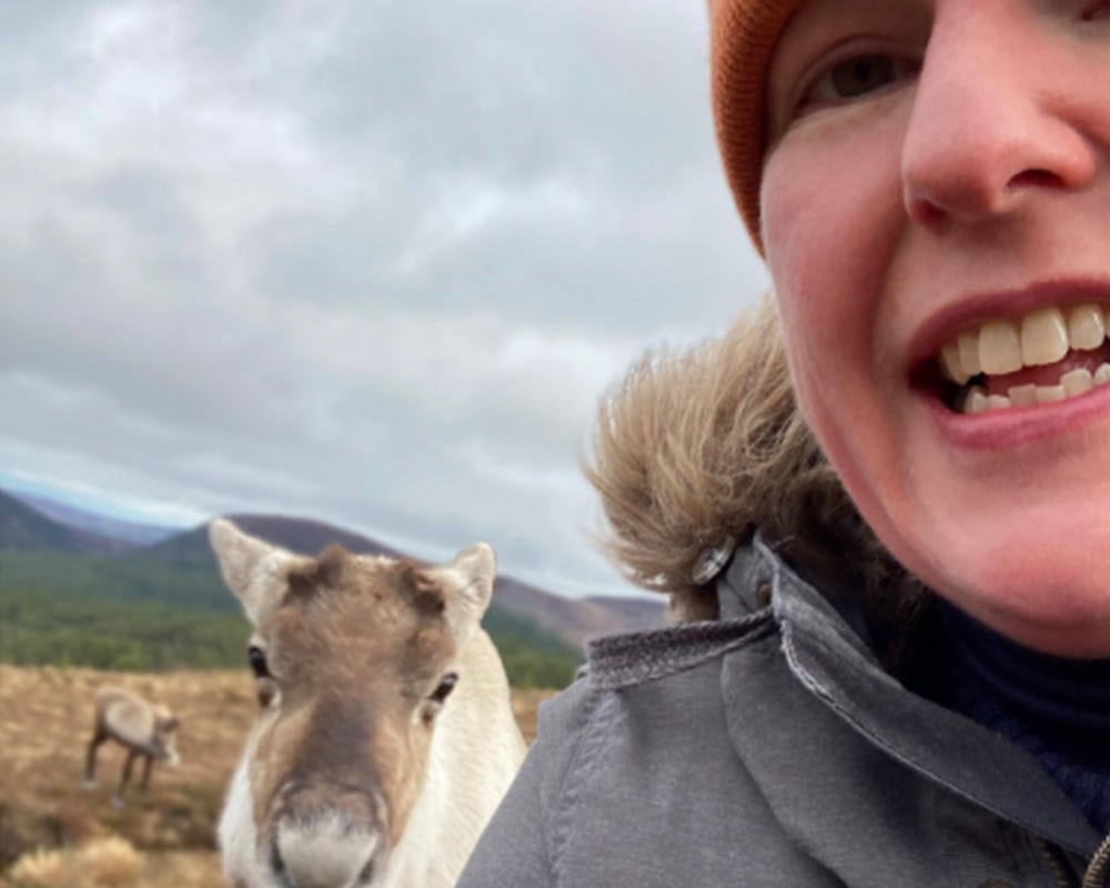 The Second Best Show About a Reindeer You’ll See This Year | by mad ...