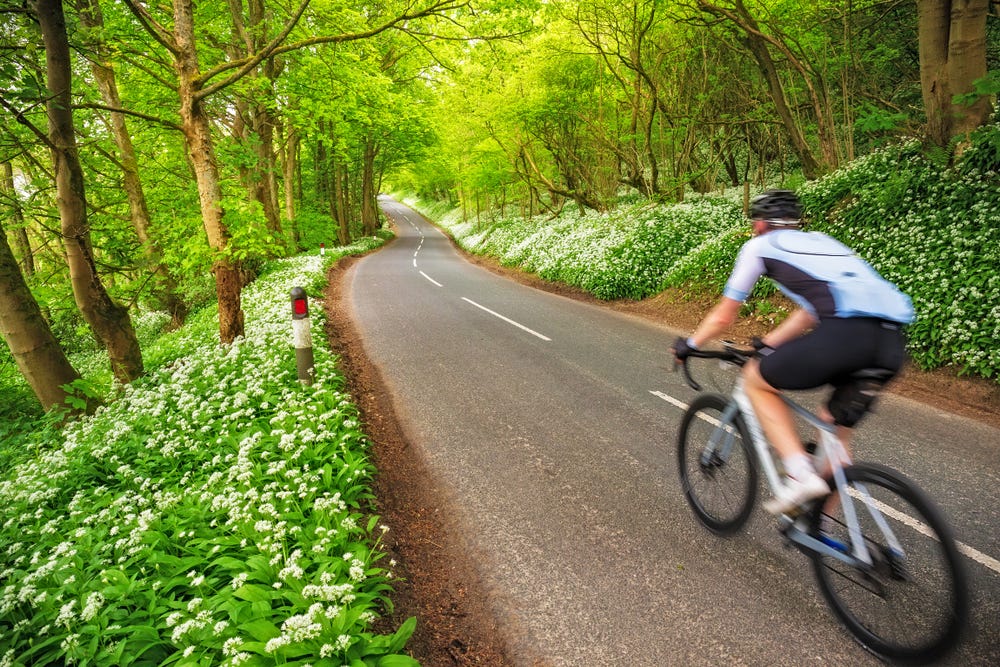 So, You Want to Cycle Around the Globe? | by Seth Warren | Oct, 2023 ...