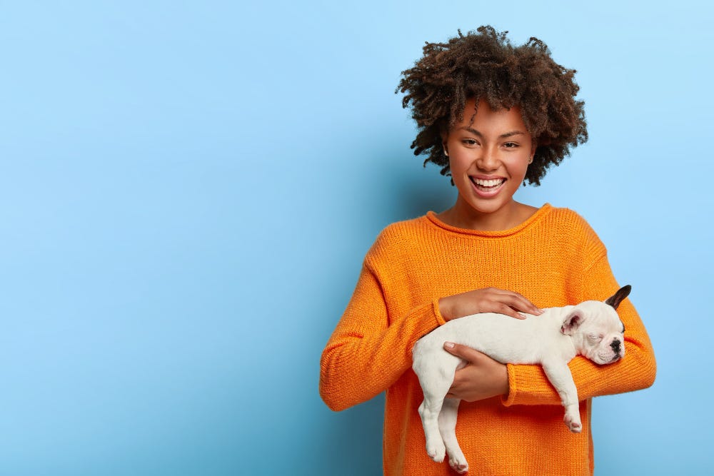 Understanding How an Emotional Support Dog Can Alleviate Social Anxiety ...