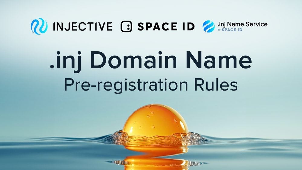 Regras de pré-registro de nomes de domínio INJ | by Big Ace | Medium