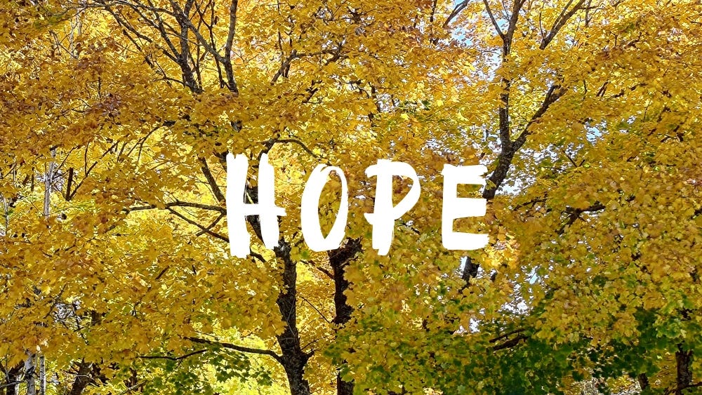 Need some hope? Here are 5 things to consider. | by Jeff Noble | From ...