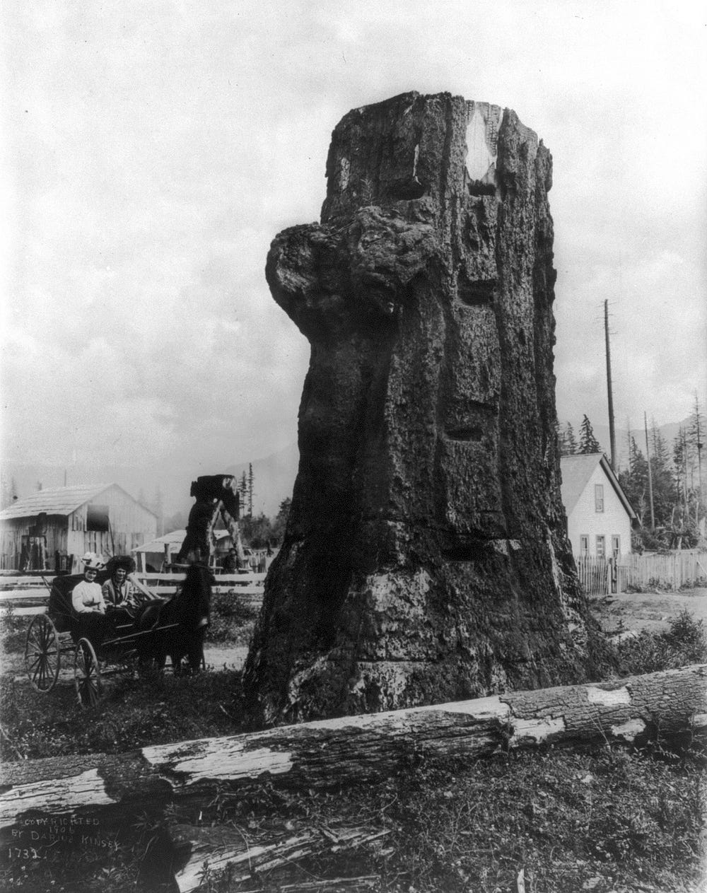 Early logging photos show the taming — and tarnishing — of Washington ...