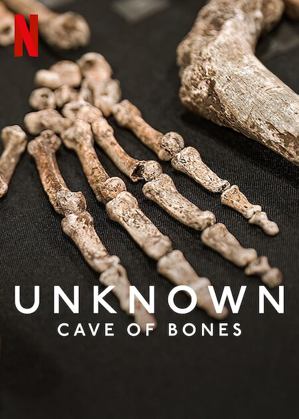 “Unknown: Cave of Bones” (2023). Welcome to a non-human graveyard! | by ...