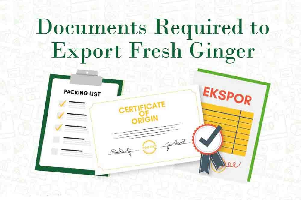 Fresh Ginger Export Documentation: A Comprehensive Guide | by Export ... Fresh Ginger Export Documentation: A Comprehensive Guide | by Export ...