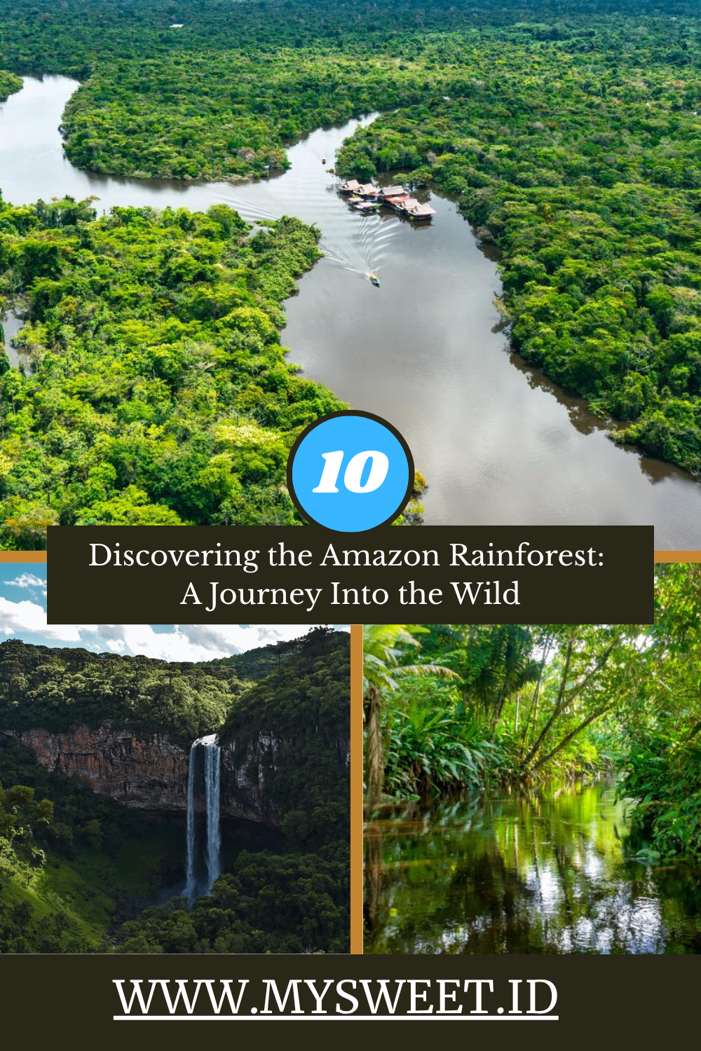 Discovering the Amazon Rainforest: A Journey Into the Wild | by ...