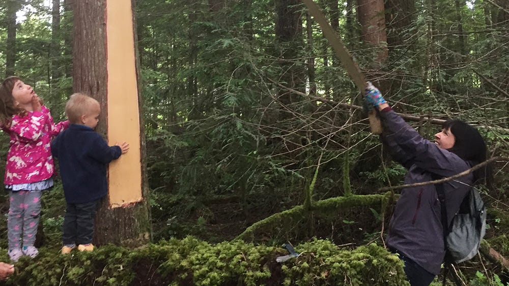Parents with Purpose: Indigenous Harvester Leigh Joseph | by ...